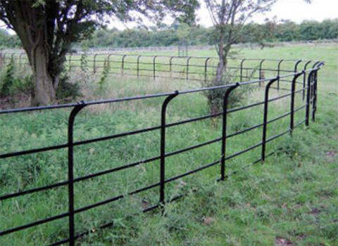 Estate Fencing | Ardagh Estate Fencing